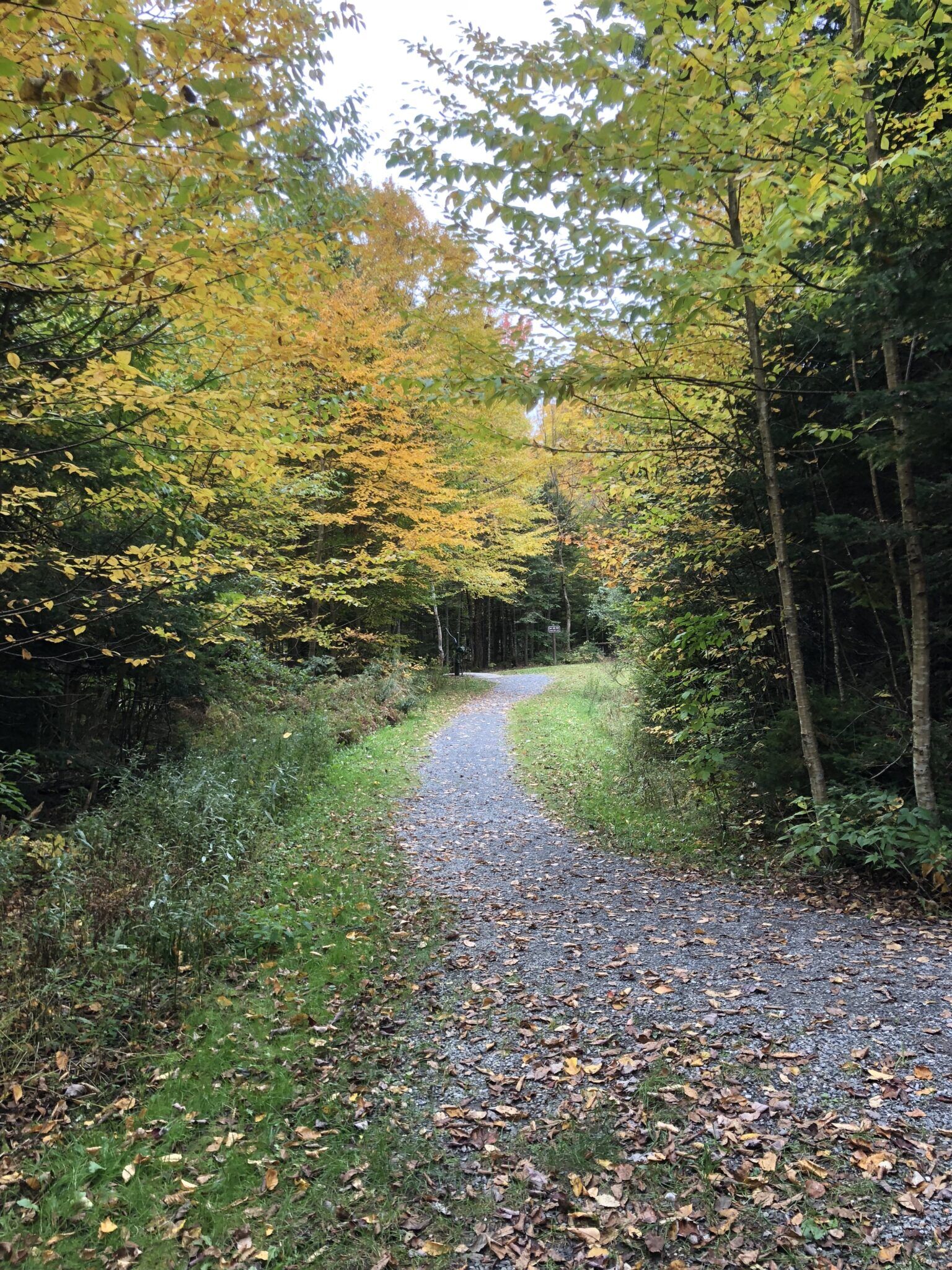 Things to do with kids in Vermont in the fall - If Only April