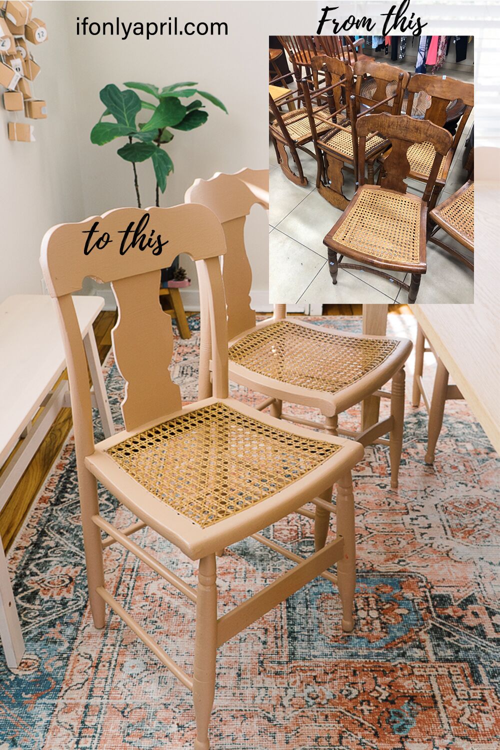 Sanding cane furniture store